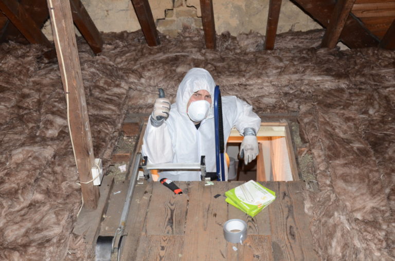 An introduction to loft insulation - TheGreenAge