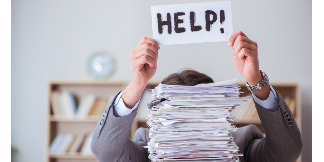 8 Things you Didn’t Know About MEES - TheGreenAge