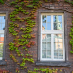 External Solid Wall Insulation - TheGreenAge